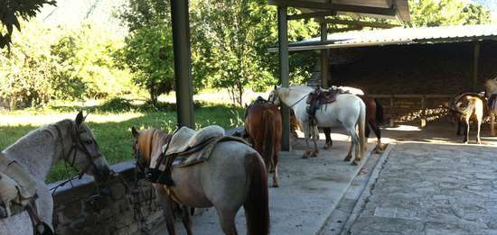 Horse trips – Camping Bungalows in the Benasque Valley